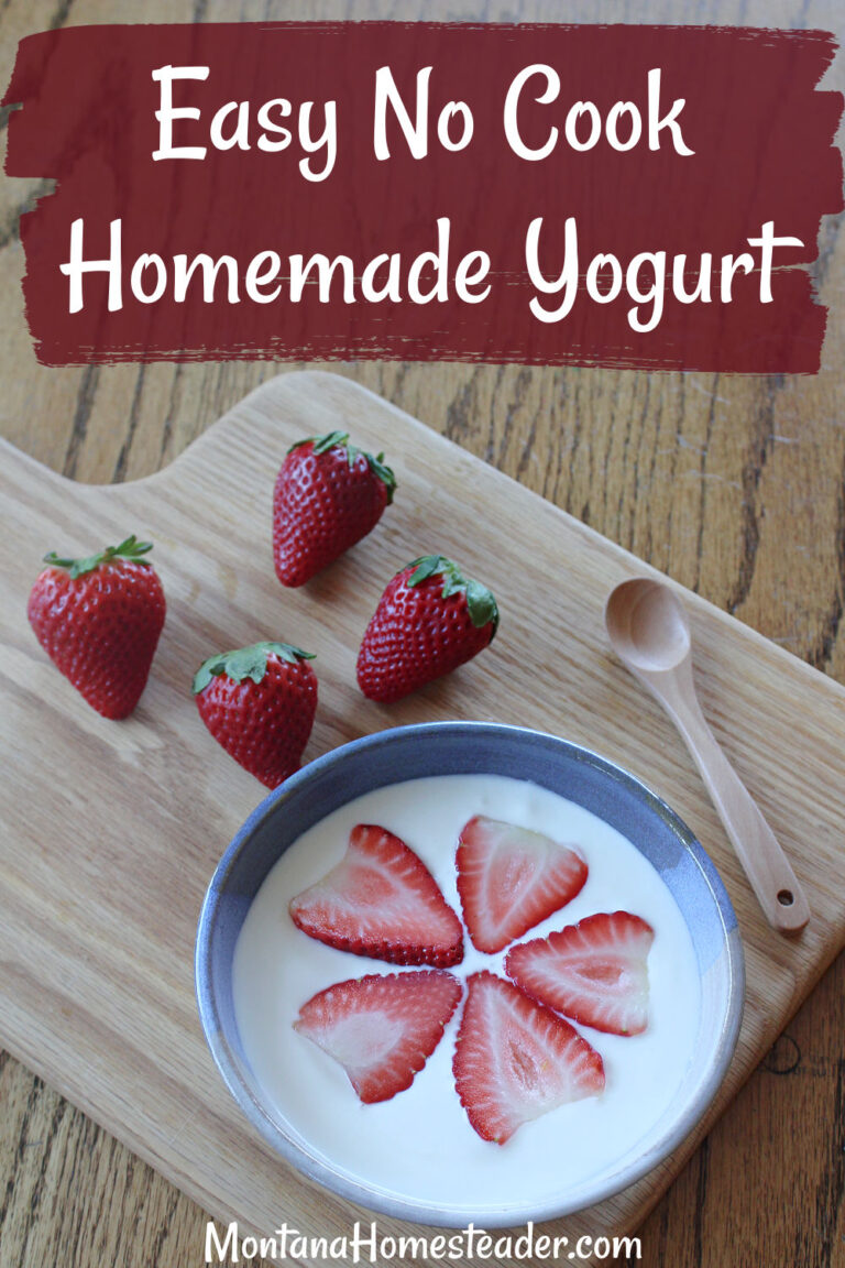 Easy No Cook Homemade Yogurt - Montana Homesteader