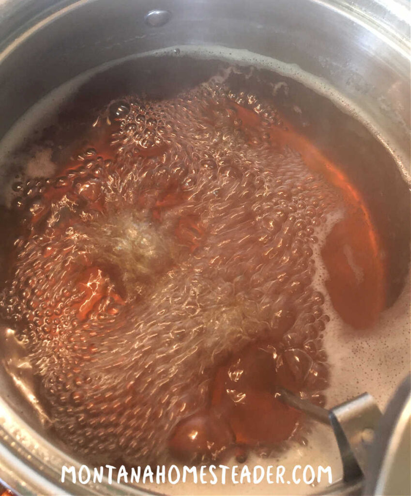 How to Tap Trees and Make Syrup in Your Backyard - Montana Homesteader