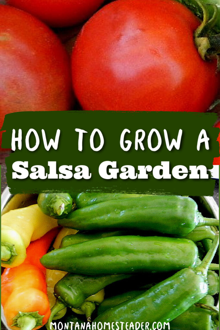 How to Grow a Salsa Garden - Montana Homesteader