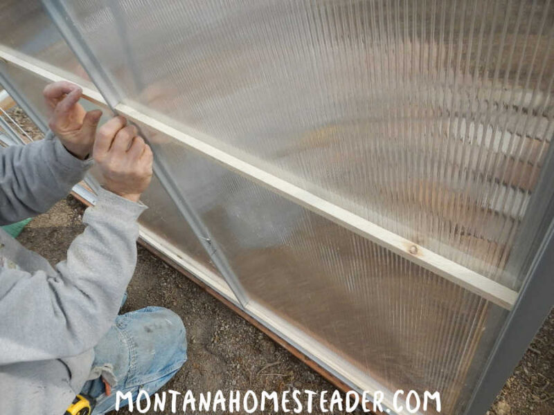 How to Set up a Greenhouse Kit - Montana Homesteader