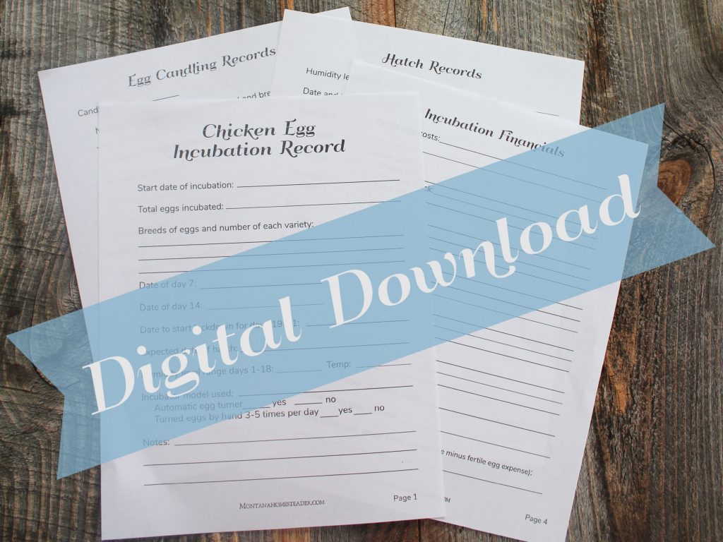 Chicken Egg Incubation Records Printable Forms - Montana Homesteader